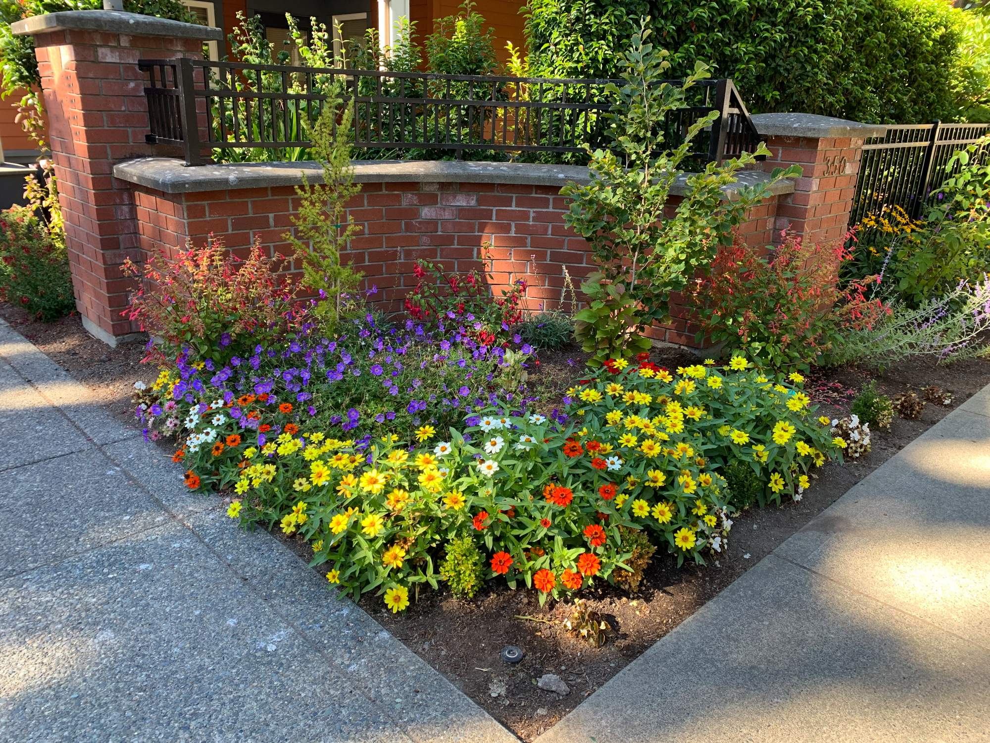 Solve A sidewalk garden in Victoria BC jigsaw puzzle online with 204 pieces