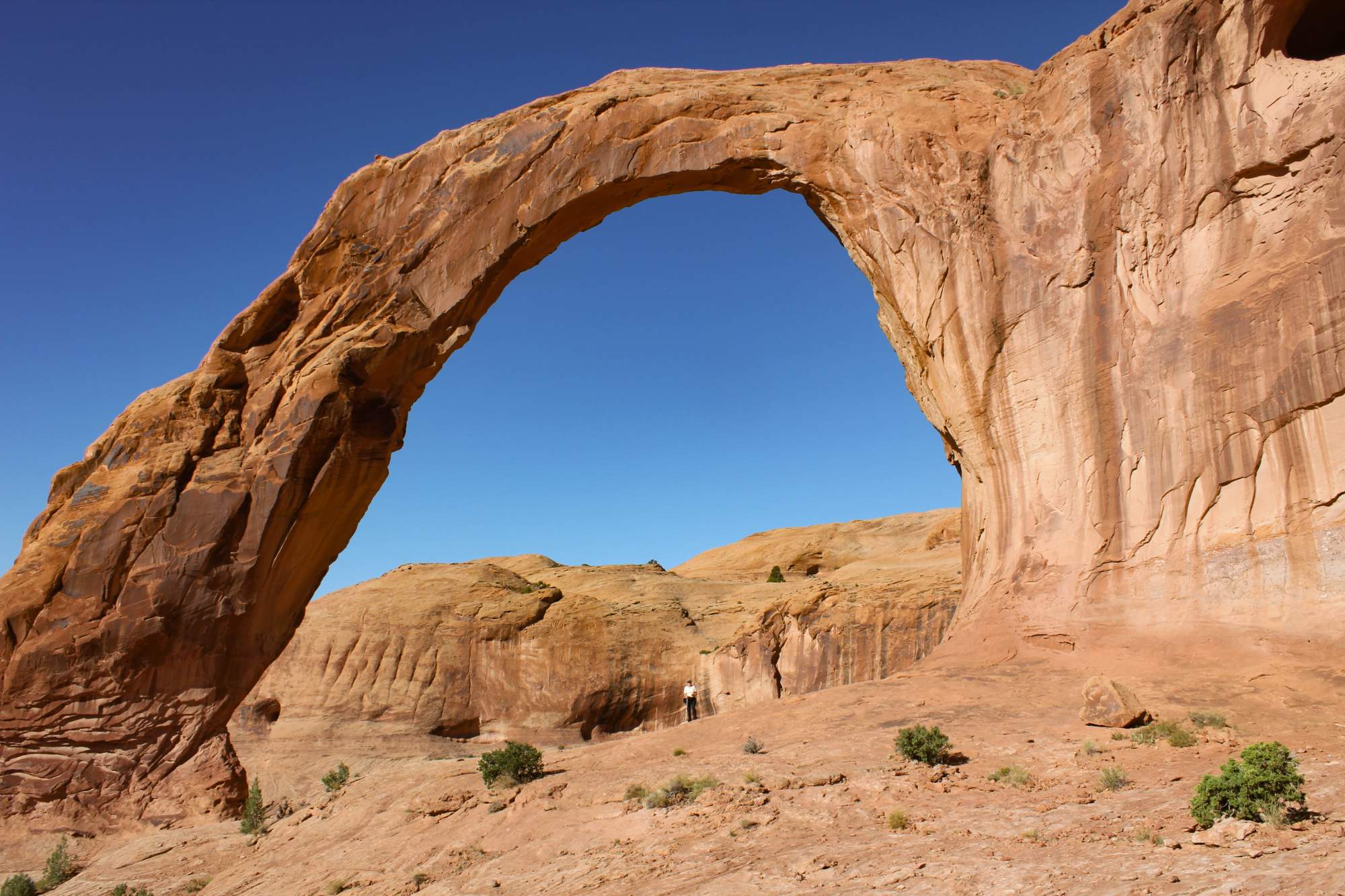 Solve Corona Arch in Arches National Park in Utah jigsaw puzzle online ...
