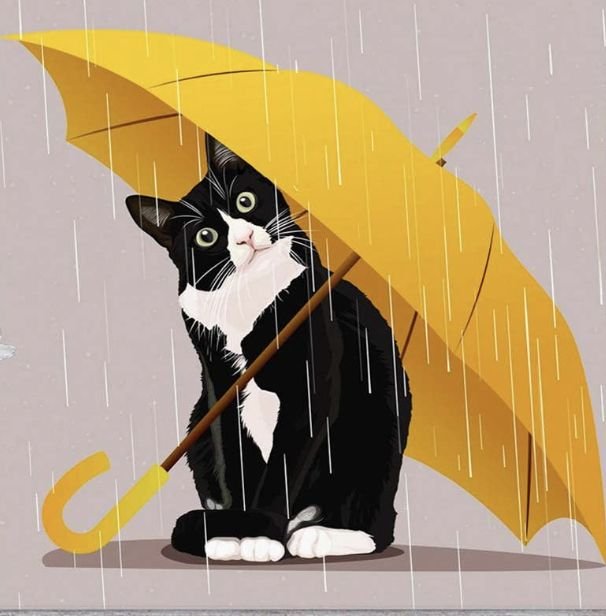 Solve Cat in the rain jigsaw puzzle online with 64 pieces
