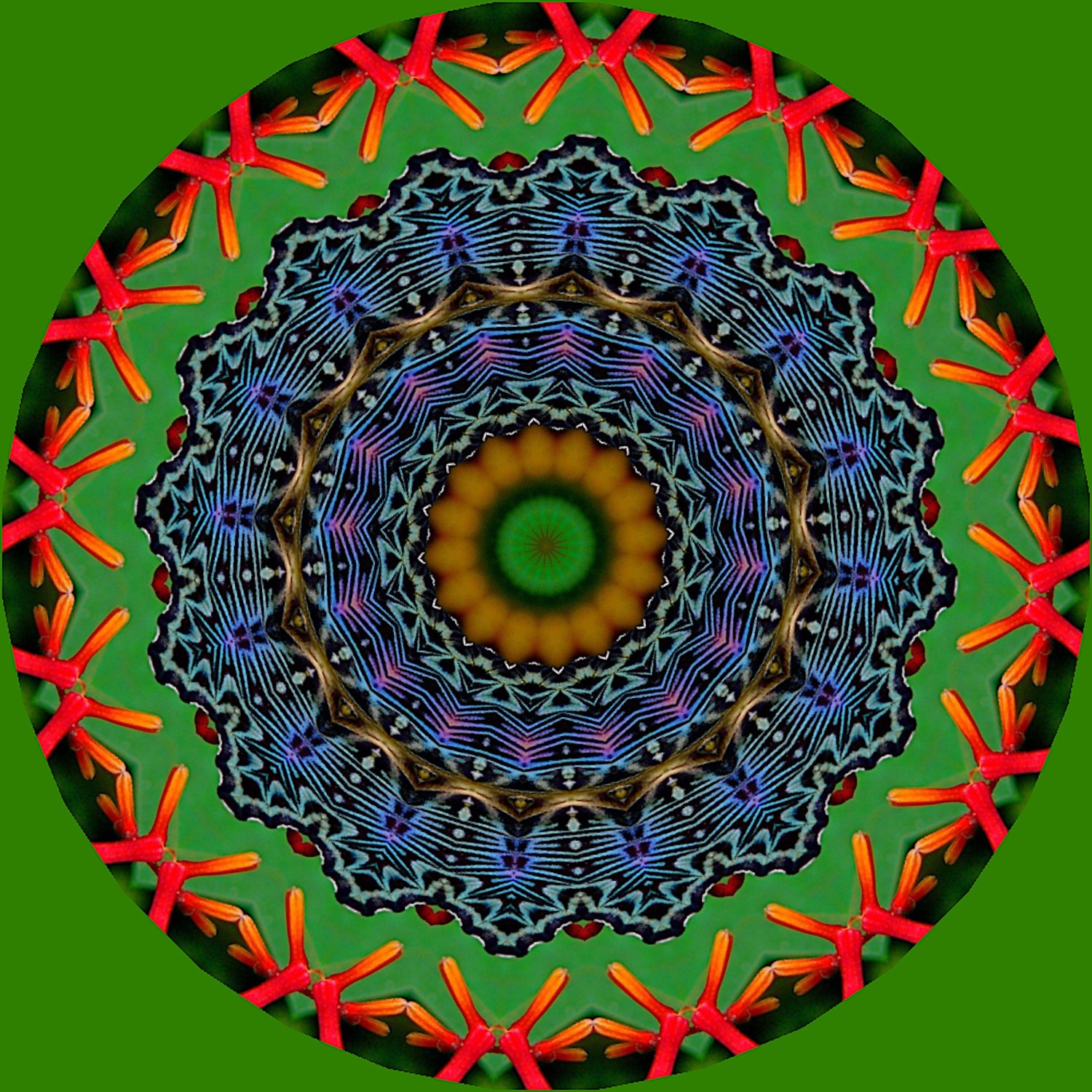 Solve #2 large jigsaw puzzle online with 144 pieces