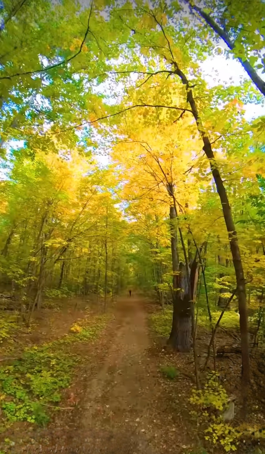 Solve Walking Trail jigsaw puzzle online with 77 pieces