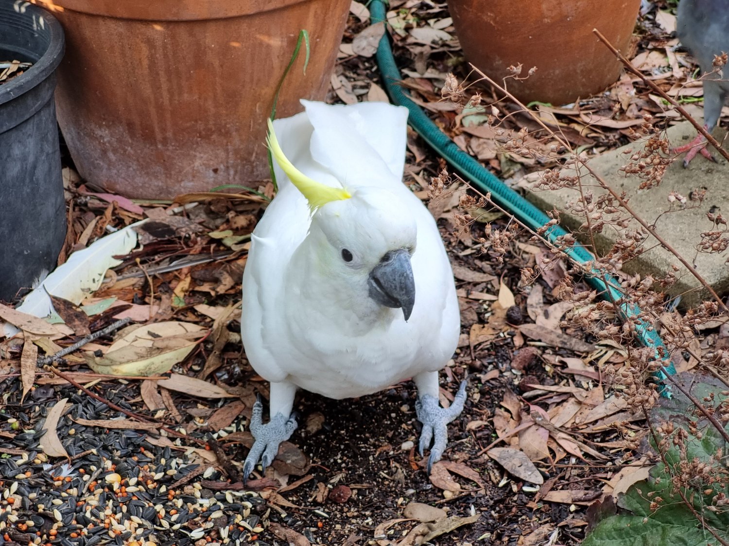 Solve Thank You :) jigsaw puzzle online with 30 pieces