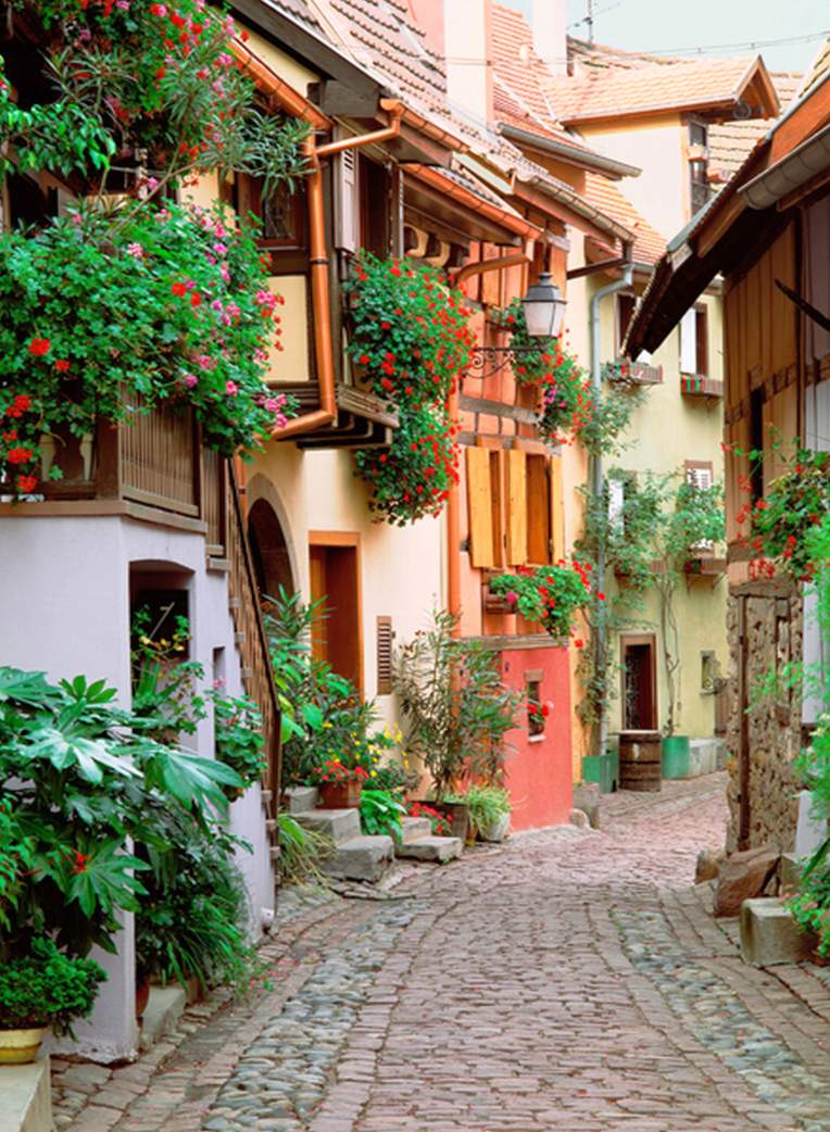 Solve Rue-du-Fleuri 111 jigsaw puzzle online with 20 pieces