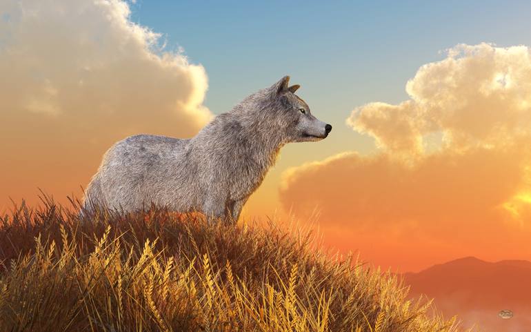 Solve "White Wolf" jigsaw puzzle online with 28 pieces