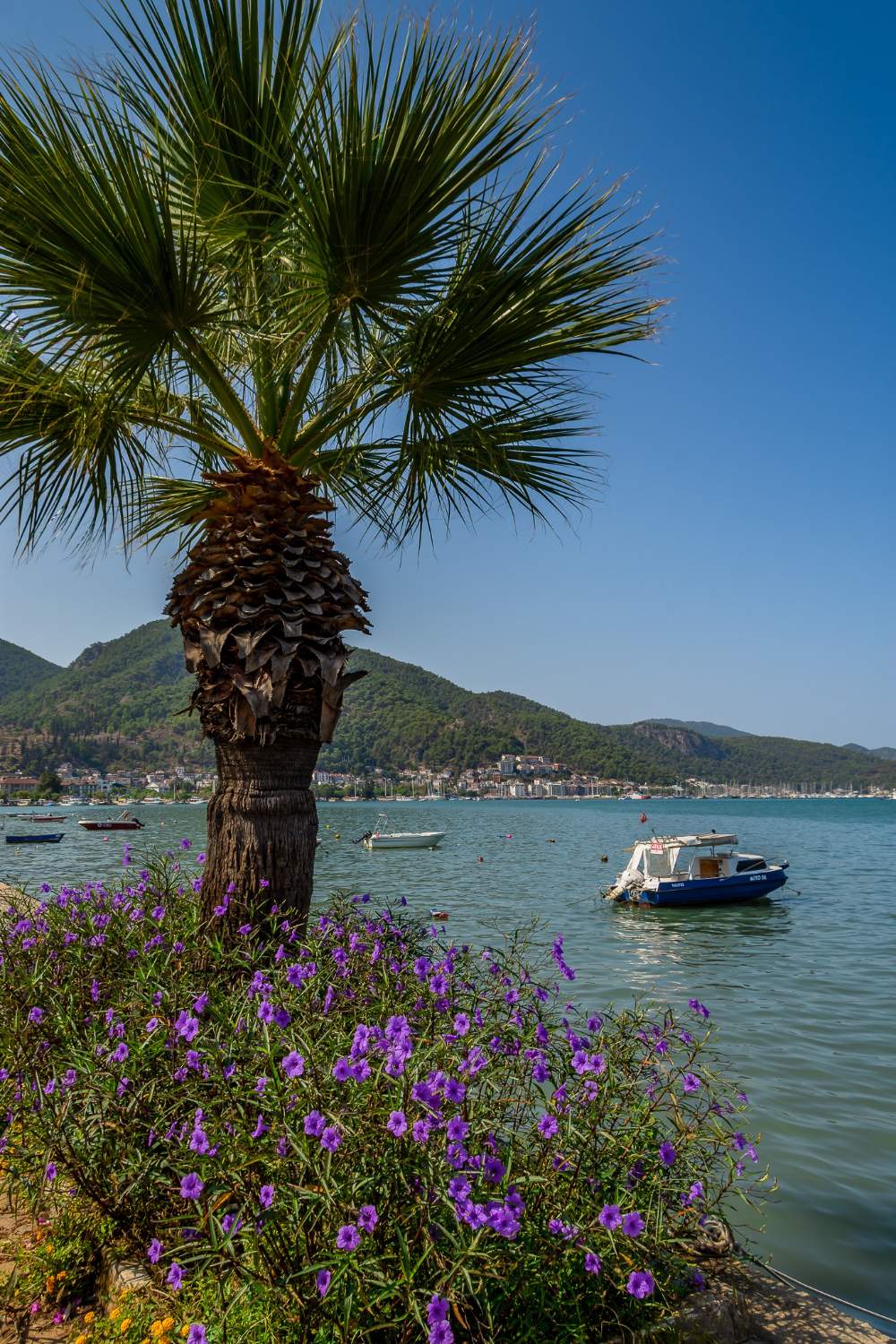 Solve Fethiye Bay jigsaw puzzle online with 247 pieces