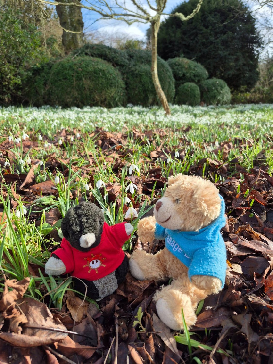 Solve Snowdrop Time jigsaw puzzle online with 88 pieces