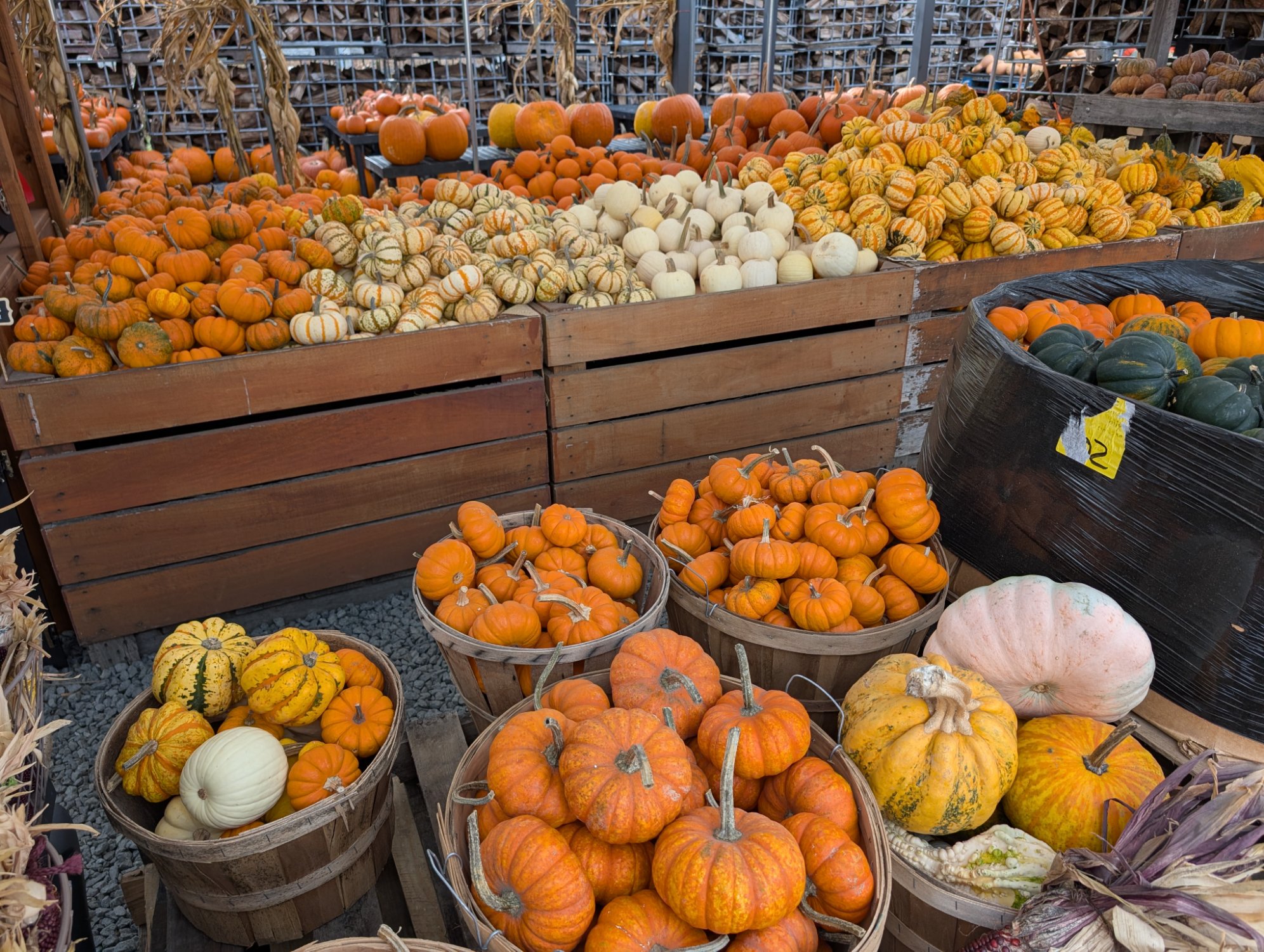 Solve Farmers Market jigsaw puzzle online with 176 pieces