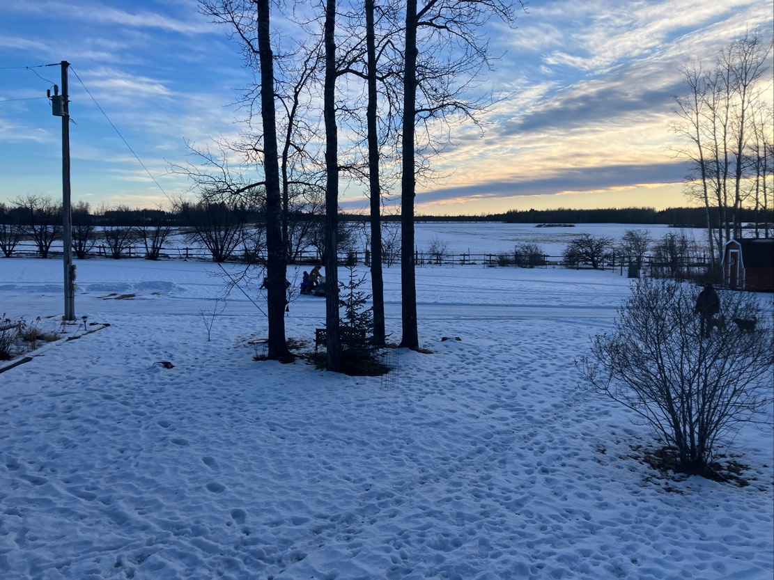 Solve Boxing Day jigsaw puzzle online with 35 pieces