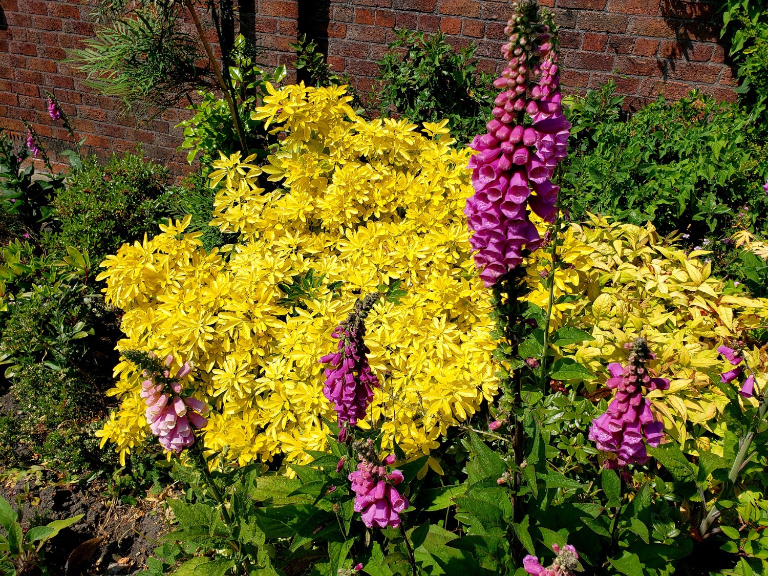 Solve Colourful Border jigsaw puzzle online with 48 pieces