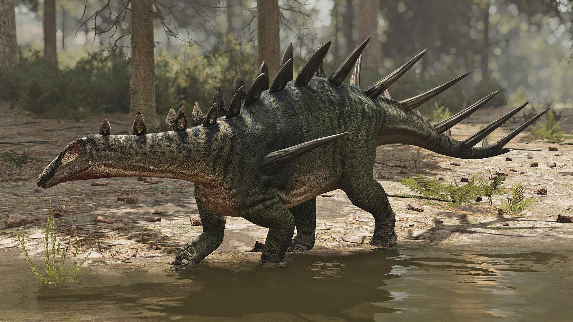 Jigsaw Puzzle | 299 pieces | dino 21b kentrosaurus | Jigidi