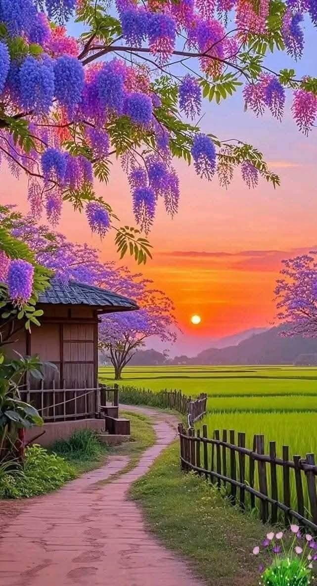 Solve Paradise. jigsaw puzzle online with 66 pieces