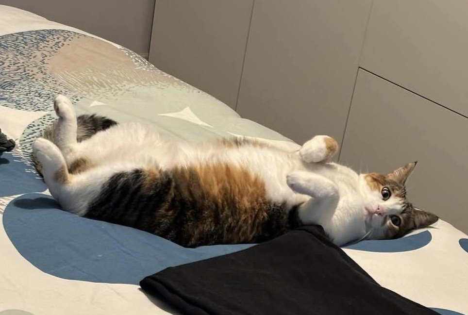 Solve The Diva is posing jigsaw puzzle online with 96 pieces