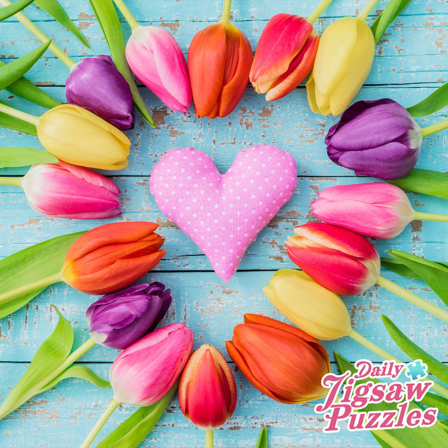 Solve Tulips . . . . . jigsaw puzzle online with 64 pieces