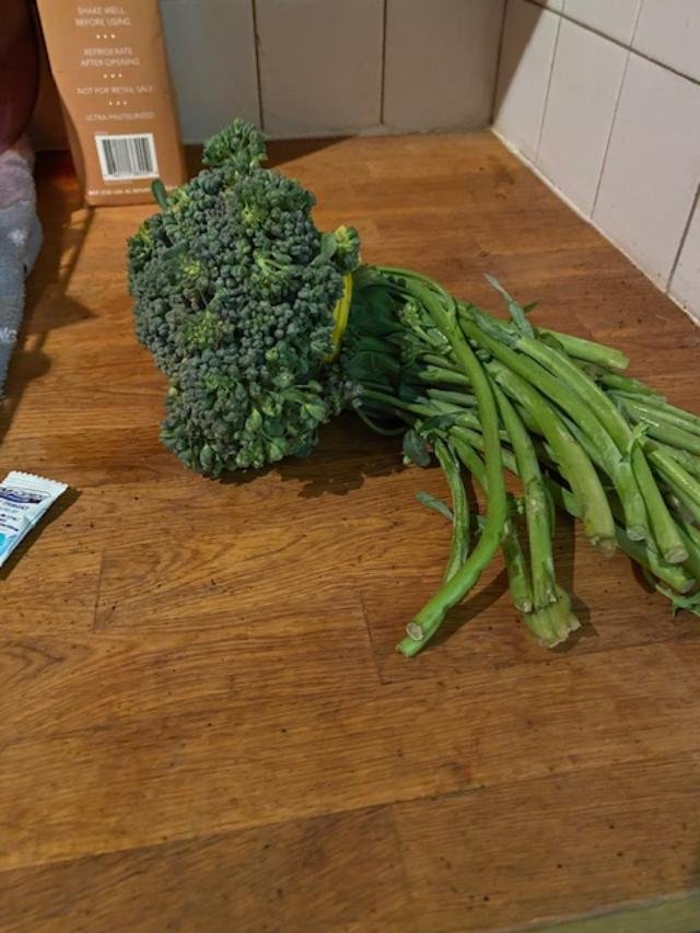 Solve Baby broccoli jigsaw puzzle online with 20 pieces