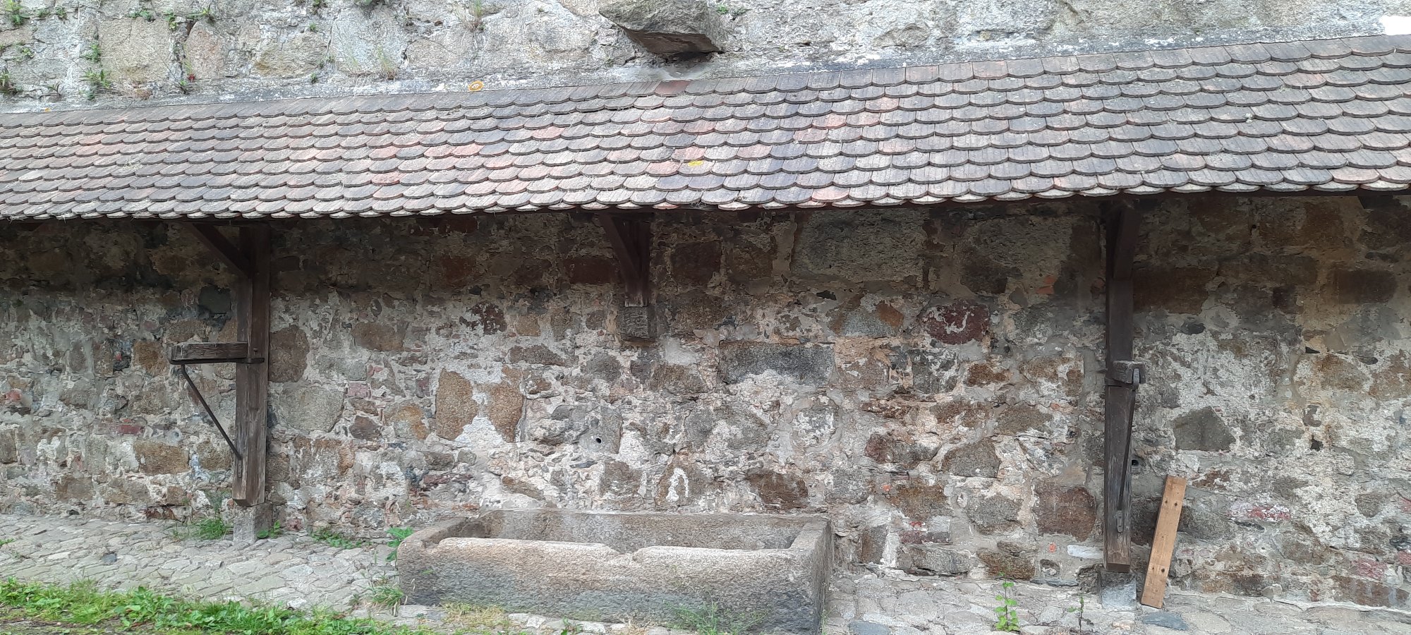 Solve 20220604_140401 jigsaw puzzle online with 595 pieces