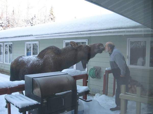 Solve Hi, Charlie...just stopped by to wish you a happy new year ...