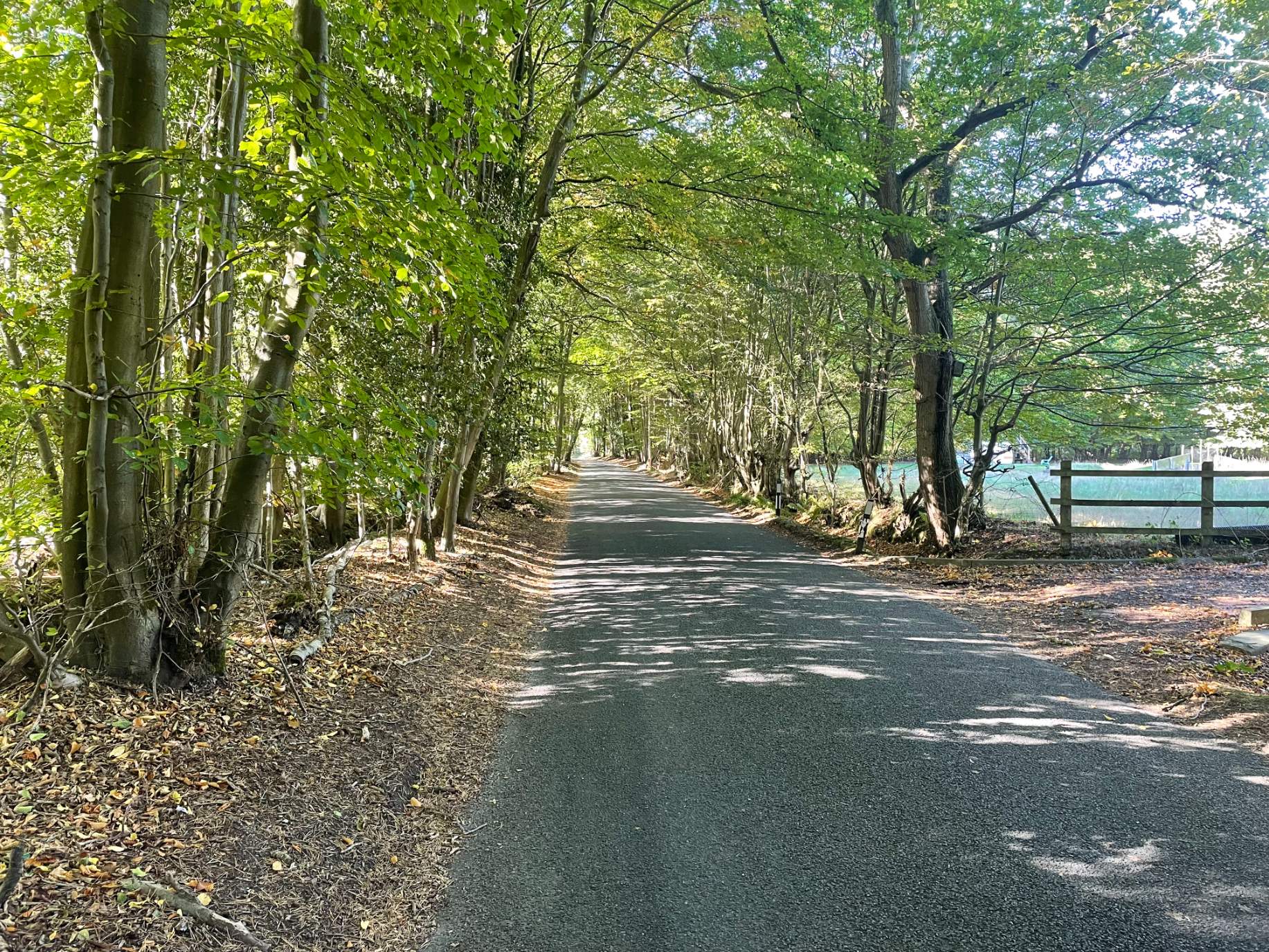Solve A country road jigsaw puzzle online with 165 pieces