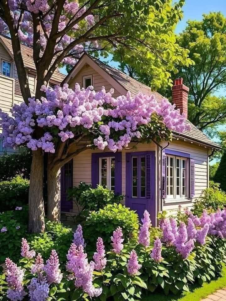 Solve Lavender and Lime jigsaw puzzle online with 63 pieces