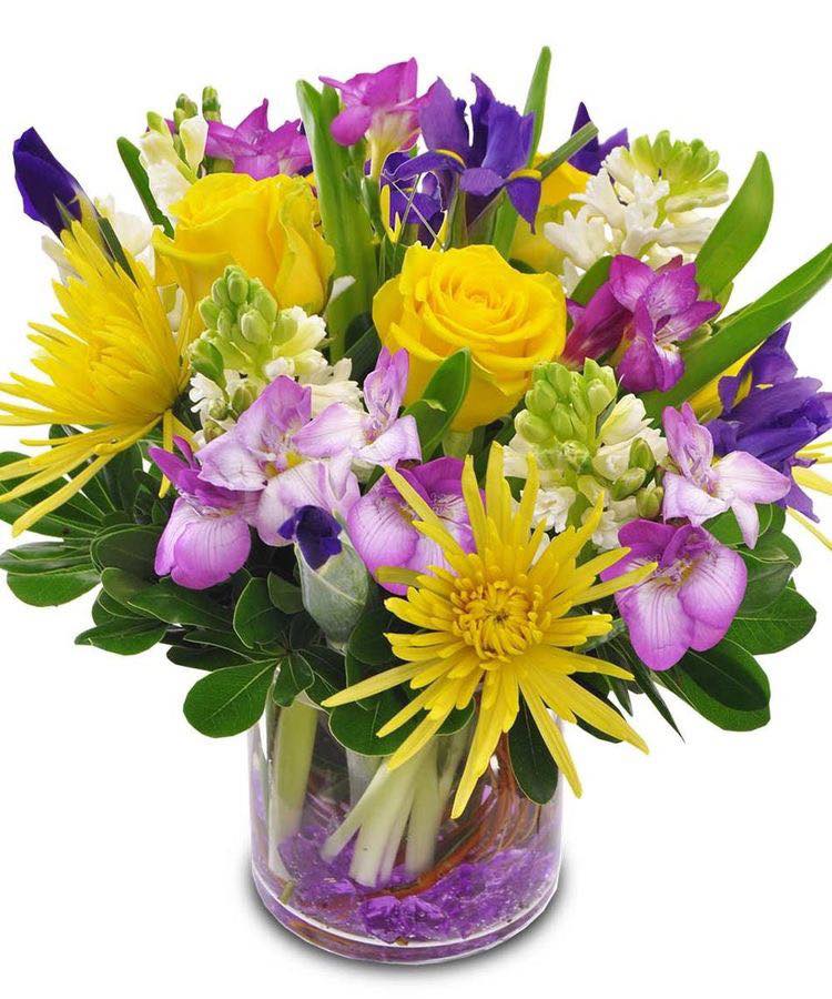 Solve Pop jigsaw puzzle online with 80 pieces