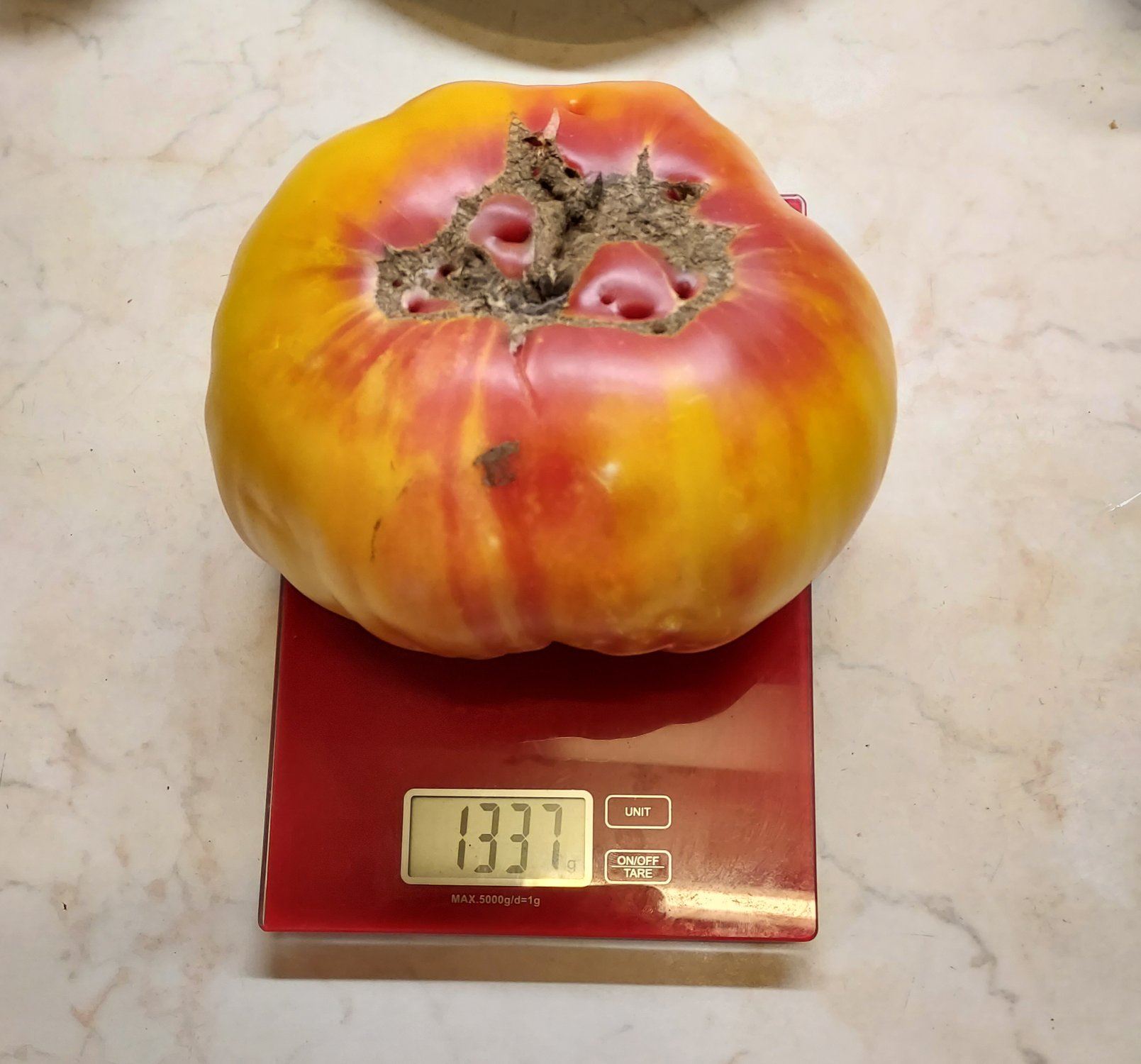 Solve ANANASOVÉ RAJČE - 1337 g jigsaw puzzle online with 100 pieces