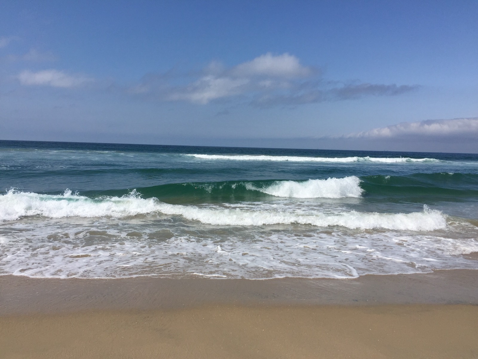 Solve Pacific Ocean Meets Shore jigsaw puzzle online with 221 pieces