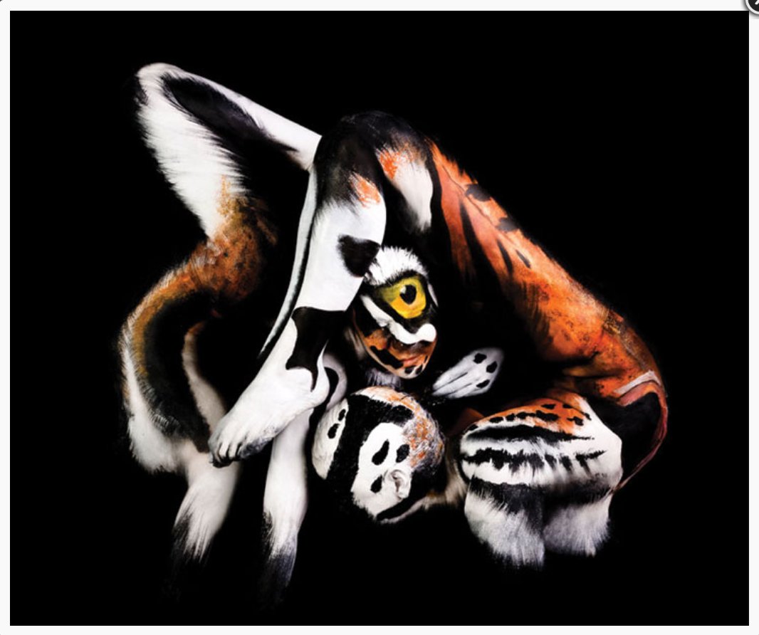 Solve The Tiger -- Body Painting Using Two Models. Can You See Them ...