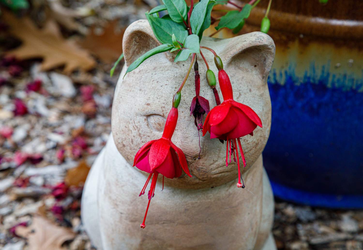 Solve STONED KITTY GETS "FLOWERED" jigsaw puzzle online with 88 pieces