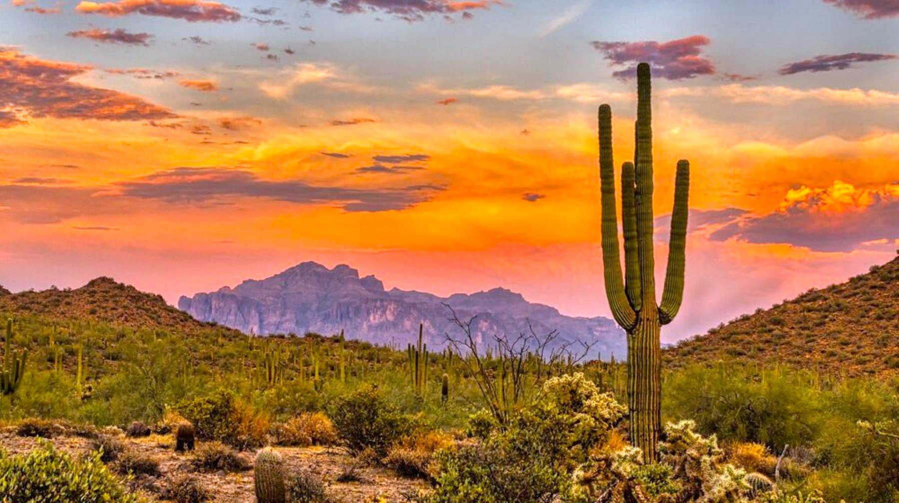 Solve Arizona jigsaw puzzle online with 153 pieces
