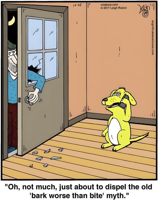 Solve Bark vs bite myth jigsaw puzzle online with 30 pieces