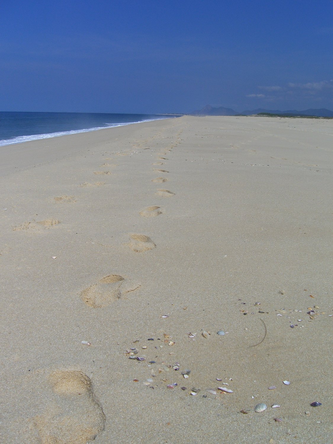 Solve Beach foot print jigsaw puzzle online with 221 pieces