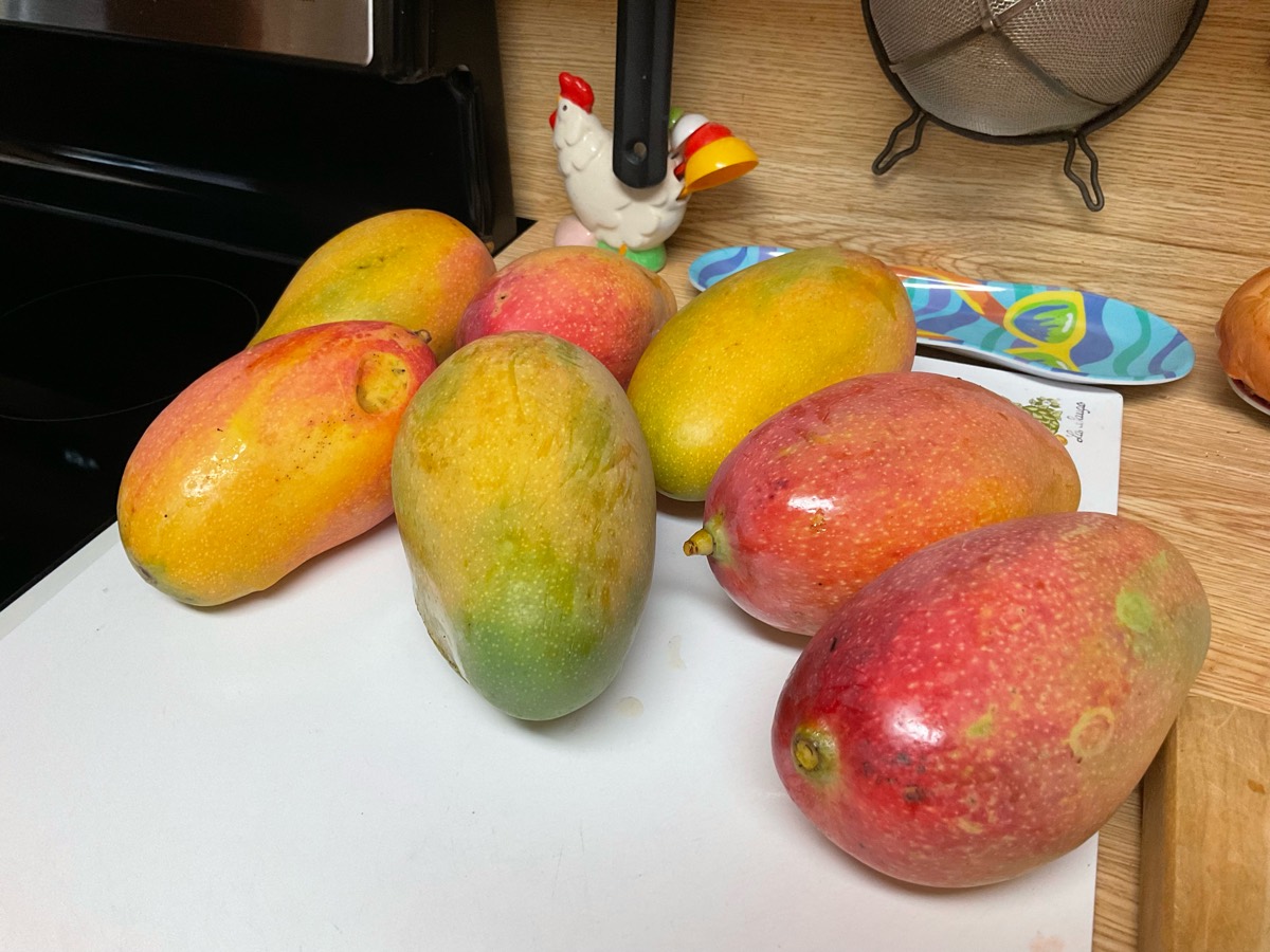 Solve Mango season. Neighbor gave them to us. jigsaw puzzle online with ...