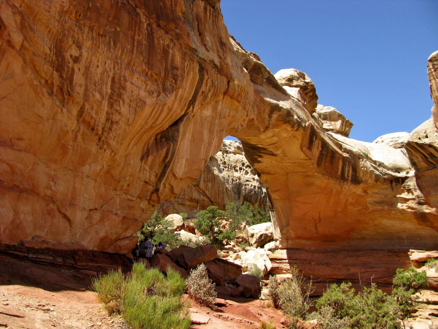 Solve Hickman Bridge In Capitol Reef NP--The Clearest View jigsaw ...