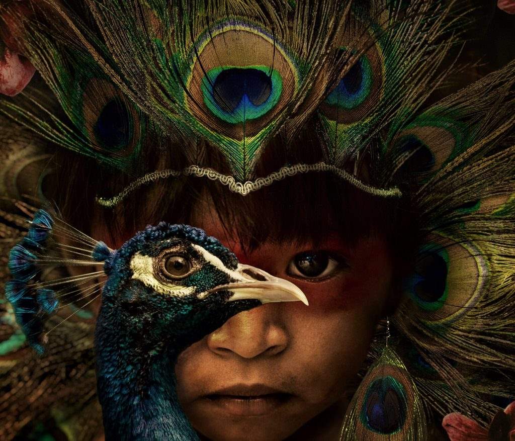 Solve 1 ~ 'Inside the mind of the Peacock ' jigsaw puzzle online with ...