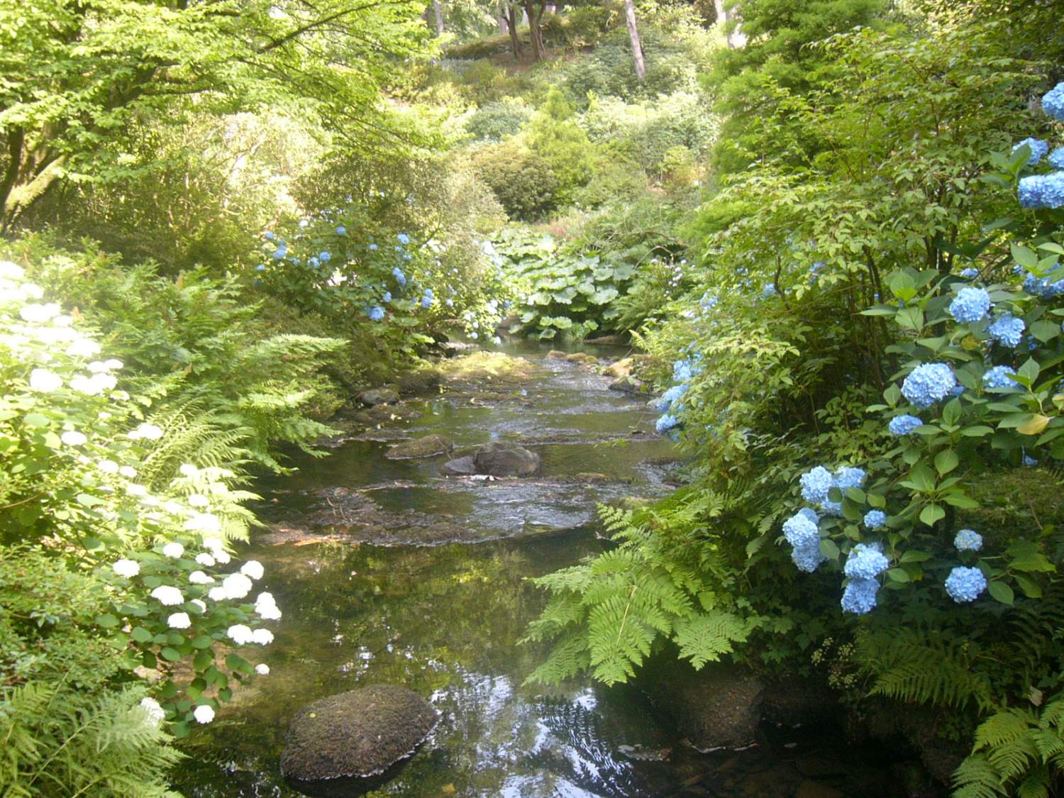 Solve Bodnant Gardens, North Wales (8) jigsaw puzzle online with 48 pieces Solve Bodnant Gardens, North Wales (8) jigsaw puzzle online with 48 pieces