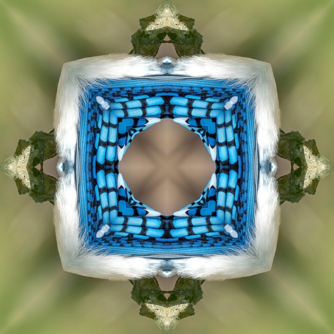 Solve #1 very small jigsaw puzzle online with 25 pieces