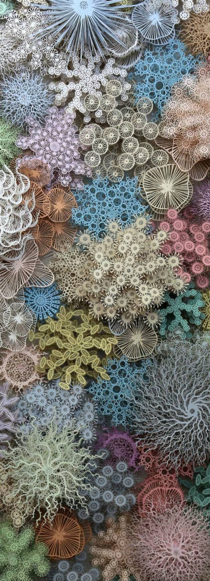Solve Pinterest artist reimagines the human microbiome as intricately ...