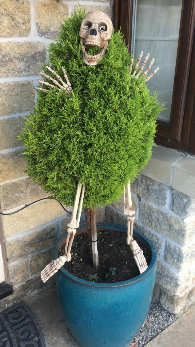 Solve Skeleton Bush jigsaw puzzle online with 15 pieces