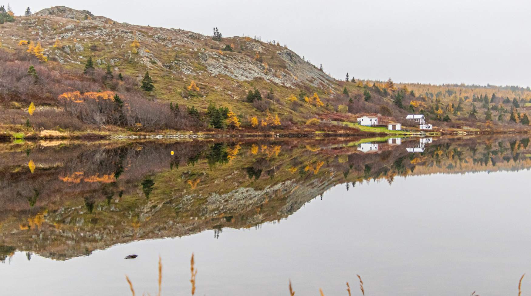 Solve Freshwater, Conception Bay North, Newfoundland & Labrador jigsaw ...