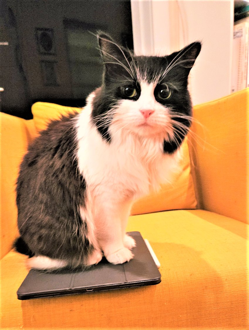 Solve Rethinking whether I really need to use my iPad tonight jigsaw ...