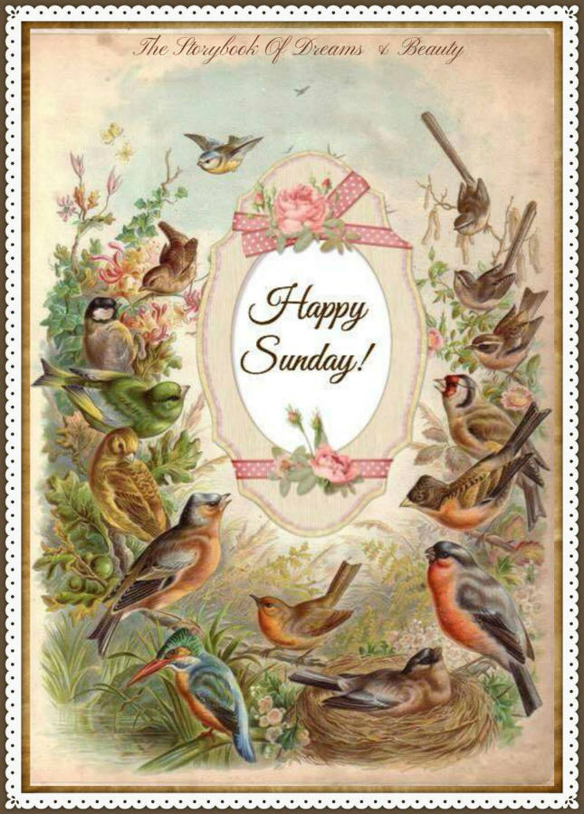 April 2025 Bird's Nest - Page 11 - Blogs & Forums