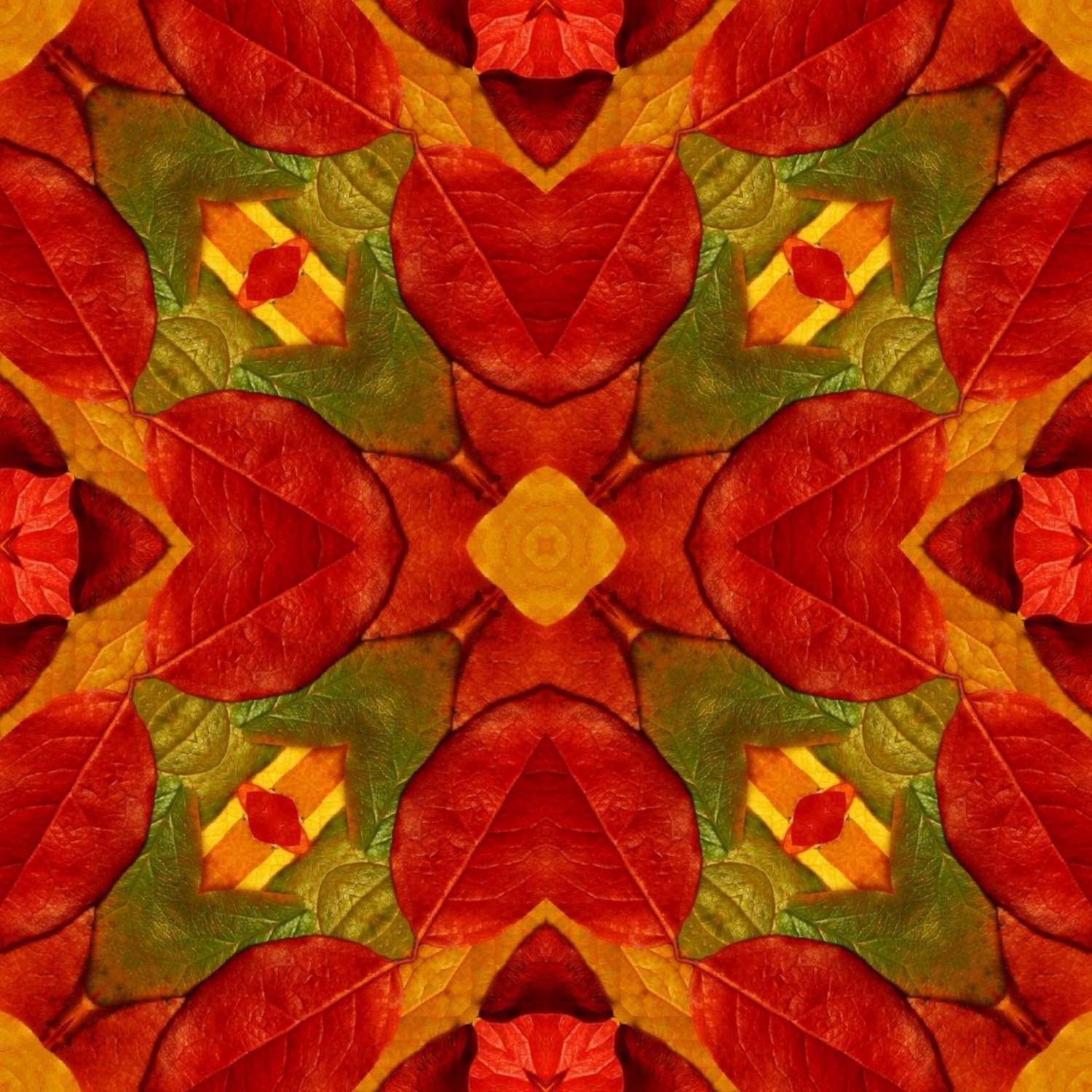 Solve 629 colours very large jigsaw puzzle online with 576 pieces