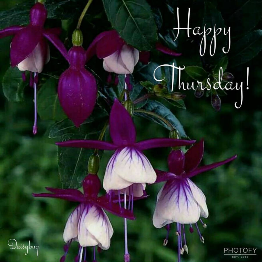 Solve Good Morning - Happy Thursday! jigsaw puzzle online with 81 pieces