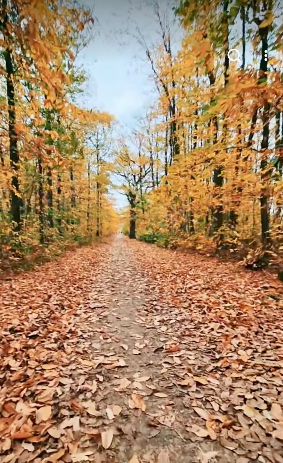 Solve Hiking Trail jigsaw puzzle online with 77 pieces