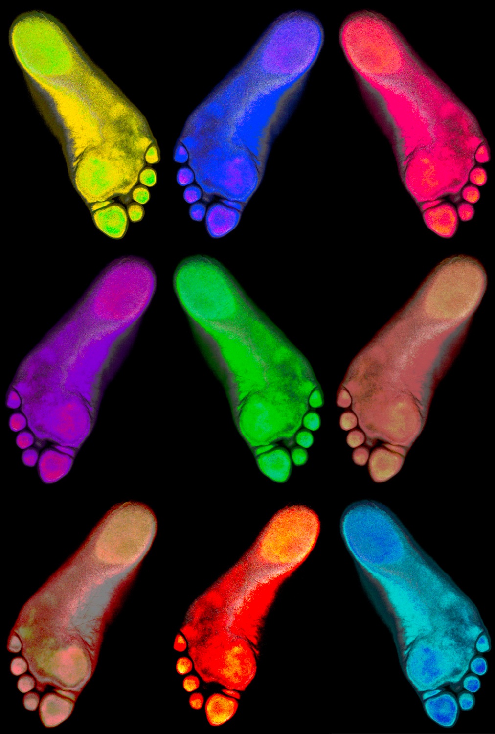 Solve Feet jigsaw puzzle online with 70 pieces