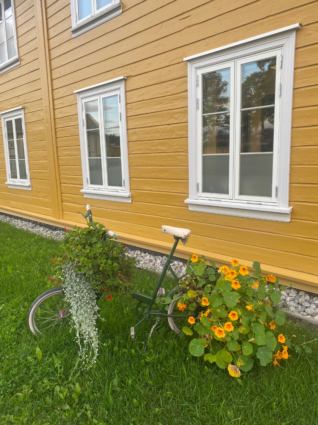 Solve Yellow jigsaw puzzle online with 35 pieces