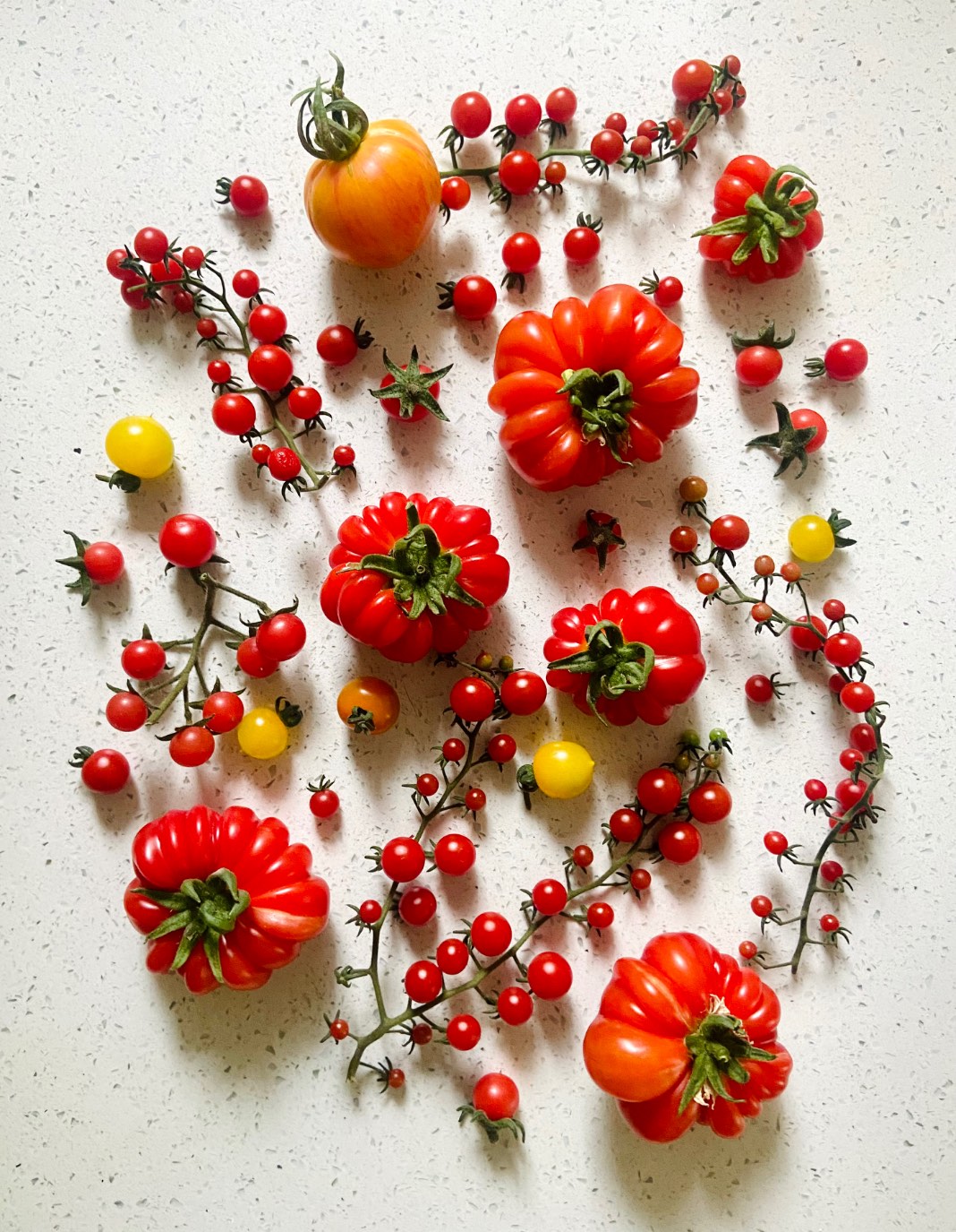 Solve Tomato jigsaw puzzle online with 99 pieces