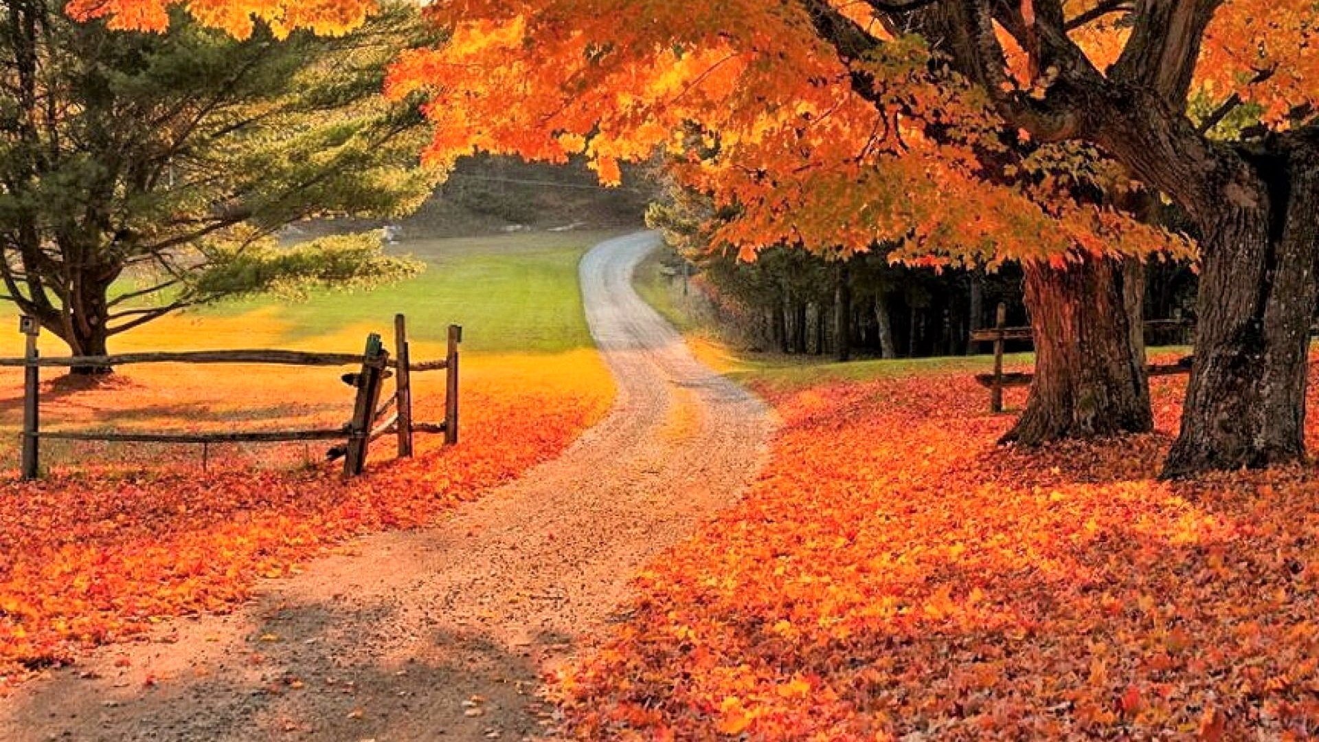 Solve Fall Scenery jigsaw puzzle online with 198 pieces