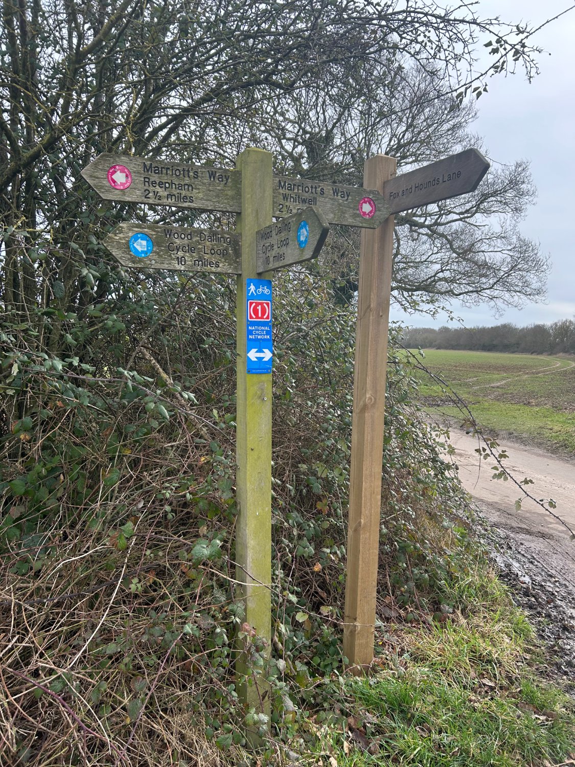 Solve Which Way Now Decisions, Decisions........... jigsaw puzzle ...