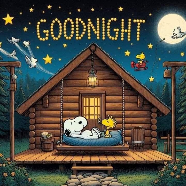 Solve Good Night Snoopy & Cabin jigsaw puzzle online with 64 pieces