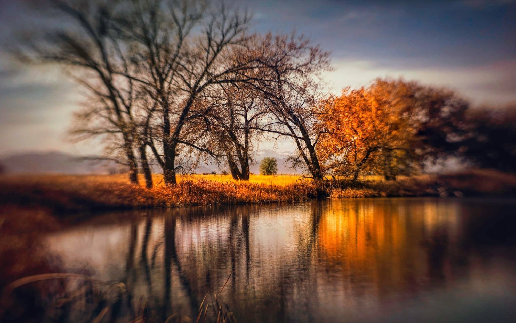 Solve Autumn scenery jigsaw puzzle online with 600 pieces